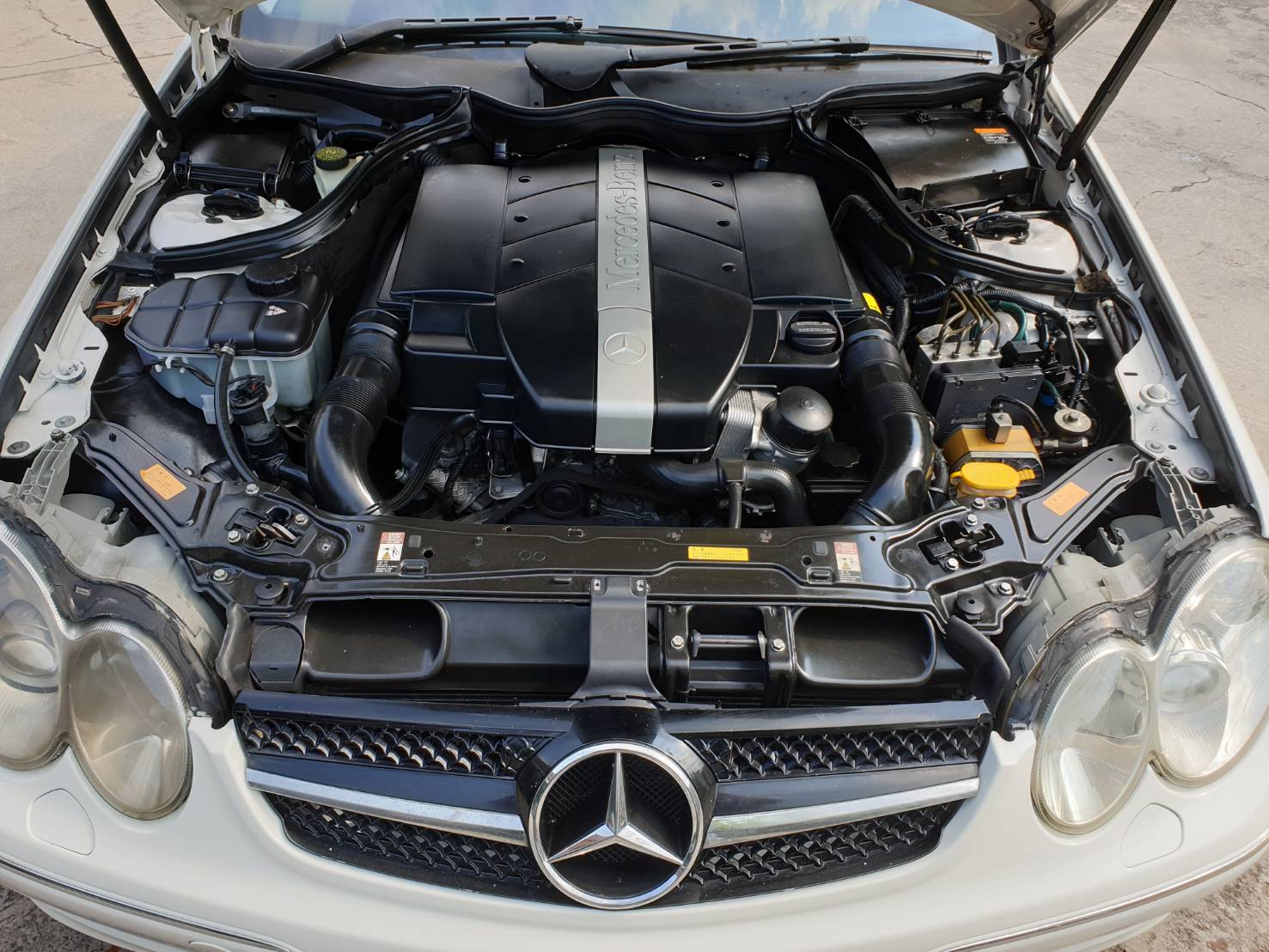 2010 Mercedes-Benz CLK240 17256723