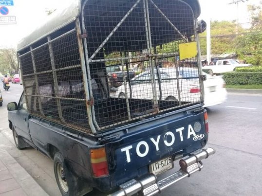 TOYOTA Mighty-X 3933851
